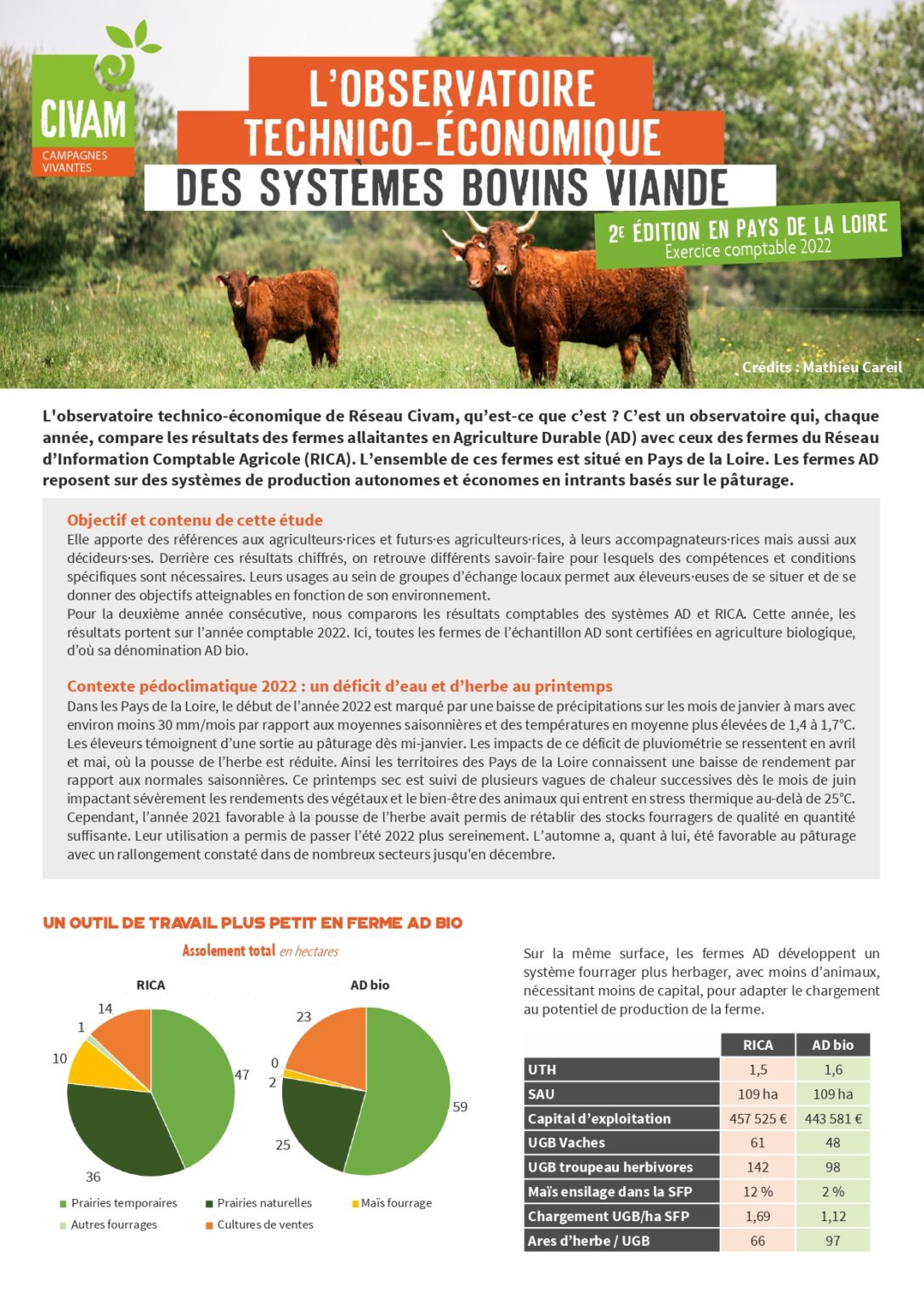 Observatoire technico-économique des systèmes bovins viande - 2024 - CIVAM